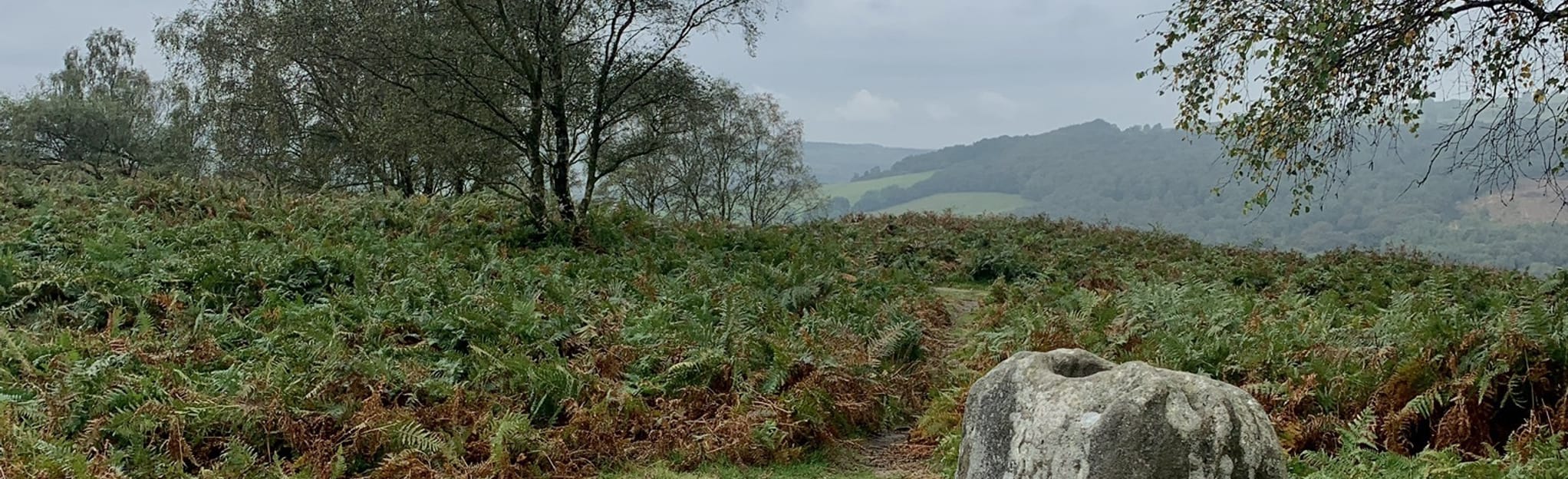 Hay Wood to Froggatt Edge and Curbar Edge, Derbyshire, England - 53 ...