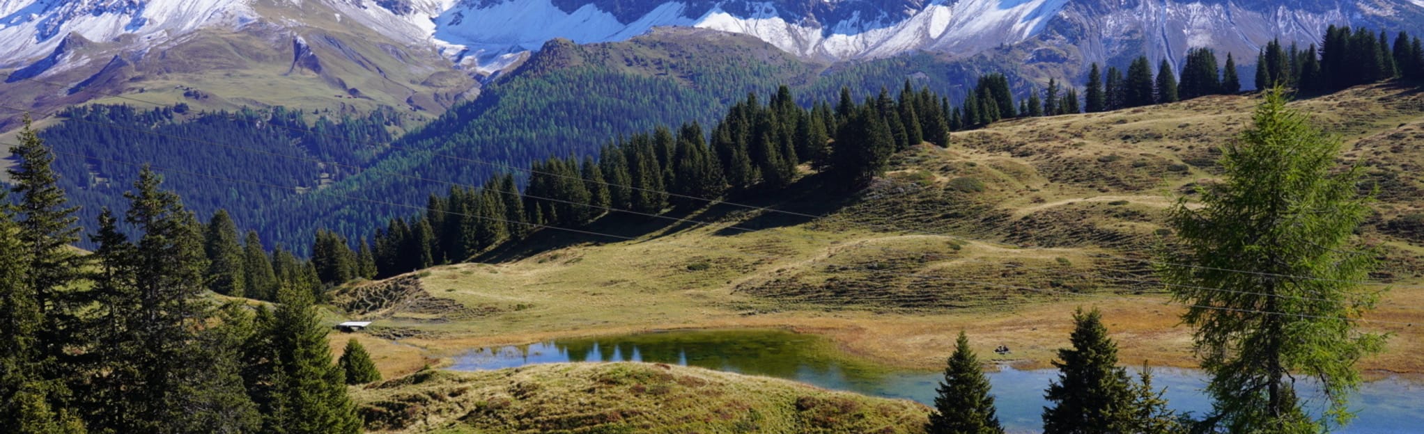 Arosa - Ochsenalp: 10 Reviews, Map - Graubünden, Switzerland | AllTrails