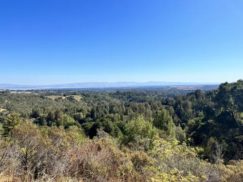 10 Best Trails and Hikes in Woodside | AllTrails