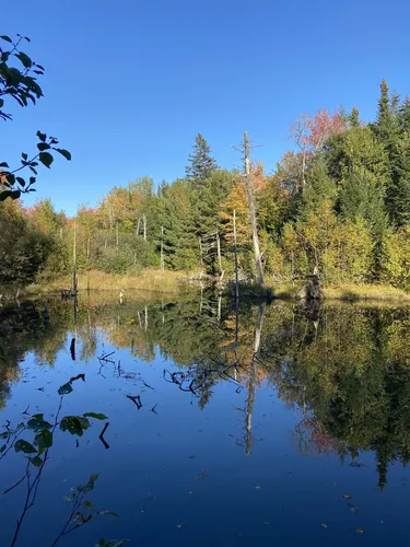 Best River Trails in Shediac Outdoors Association | AllTrails