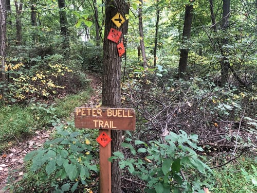 Deer Path Park: Die besten Routen in 2023 | AllTrails