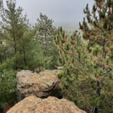Levis/Trow Mounds Trail, Wisconsin - 294 Reviews, Map | AllTrails