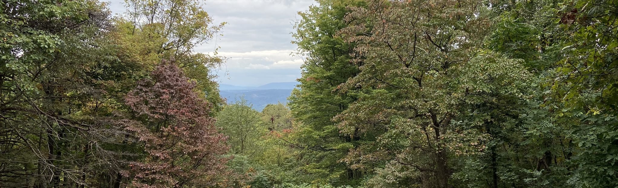 Old Stone House via Ardalia Trail, West Virginia - 37 Reviews, Map ...