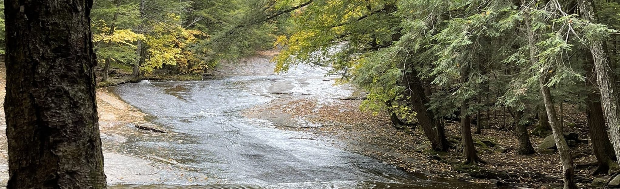 Buttermilk Brook - Bear Slides: 225 Reviews, Map - New York | AllTrails