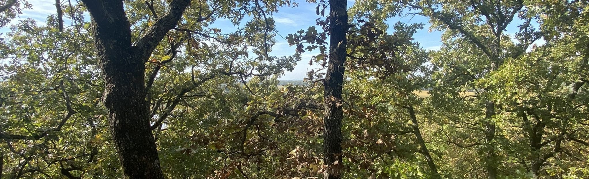 AllTrails | Timber Ridge Trail: 28 Reviews, Map - Kansas