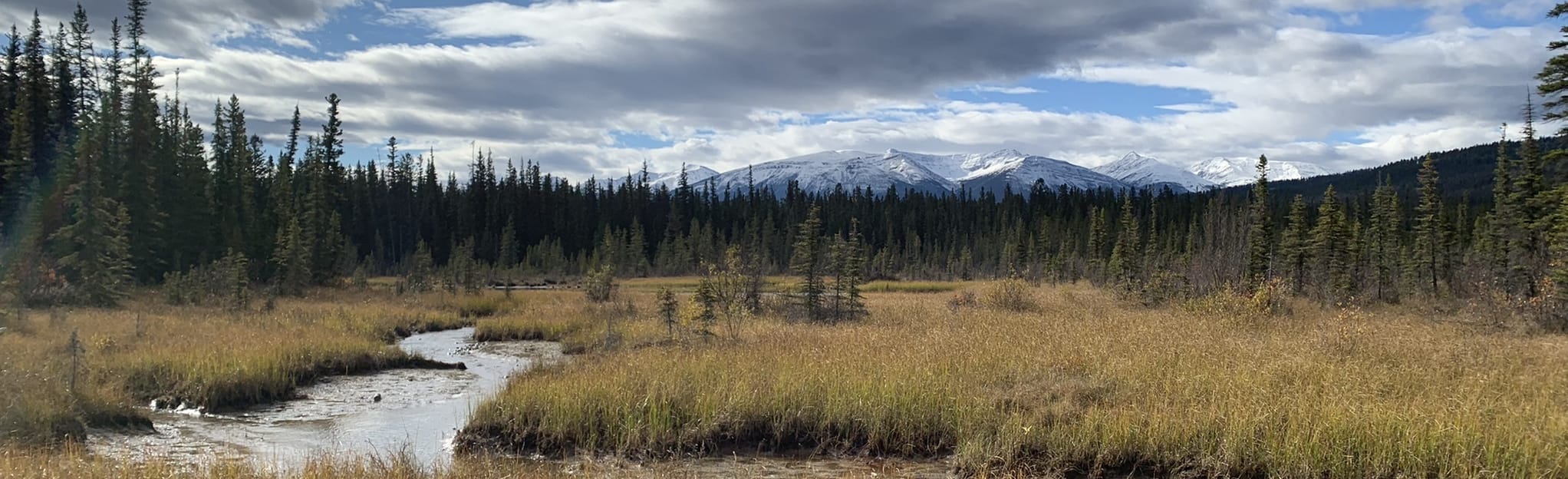 The Flower Loop: 49 Reviews, Map - Alberta, Canada | AllTrails