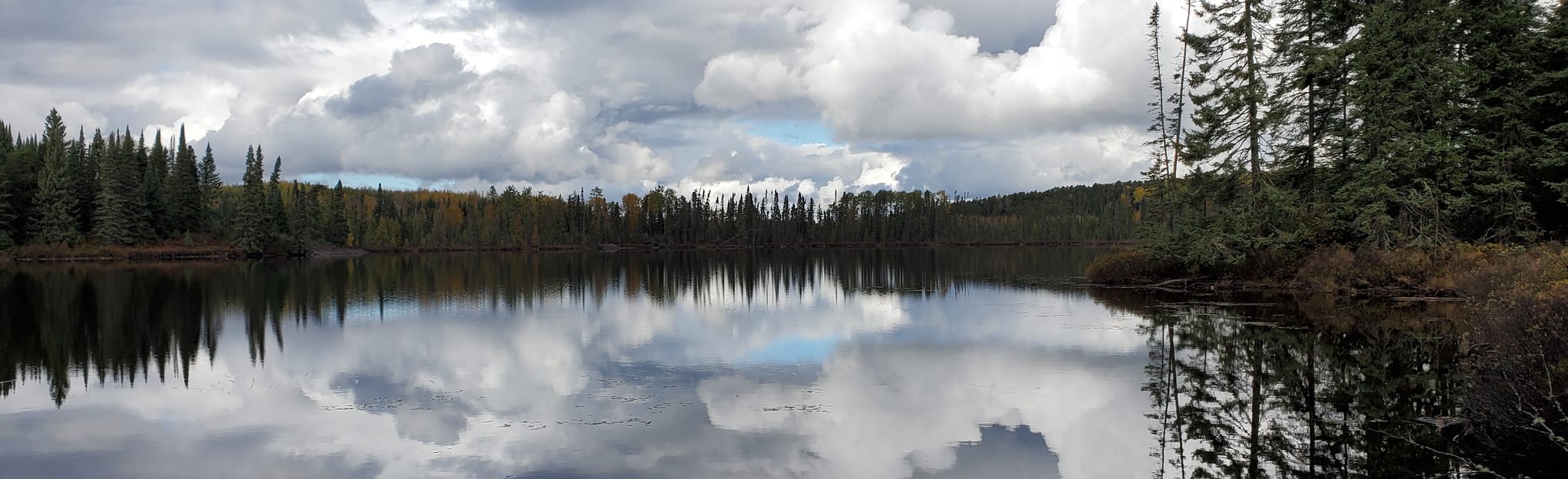 Ferguson Trail | Map, Guide - Ontario, Canada | AllTrails