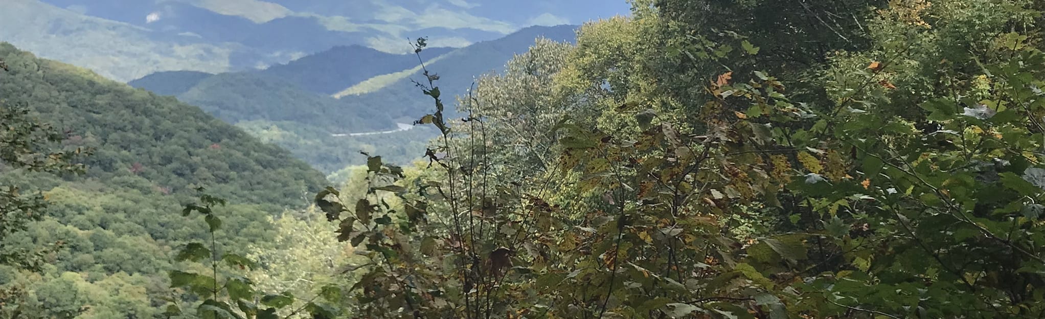 Appalachian Trail: Devil's Fork Gap to Chestoa, Tennessee - 13 Reviews ...