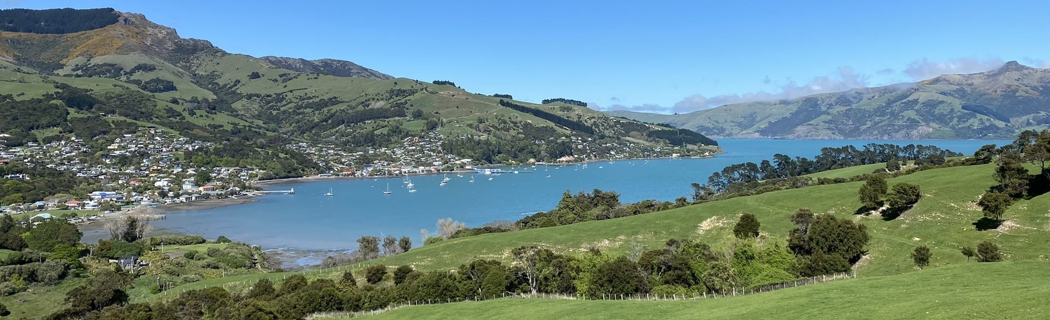 Children's Bay Rhino Walk - Canterbury, New Zealand | AllTrails