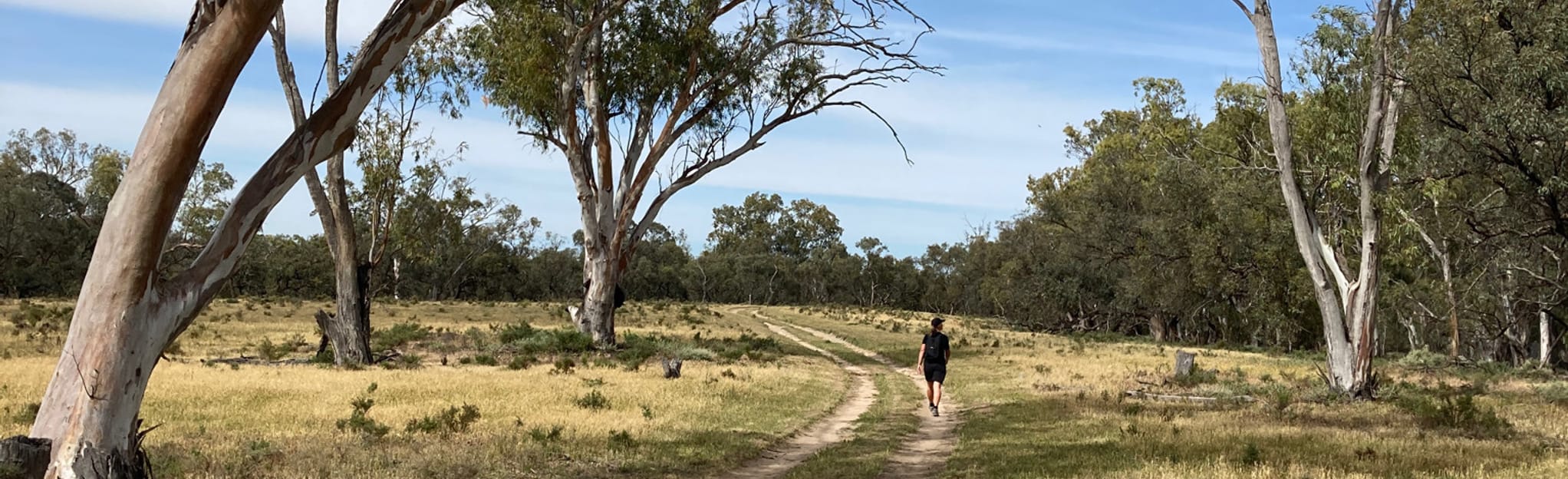 AllTrails | Hattah Lake Nip Nip Track: 2 Reviews, Map - Victoria, Australia
