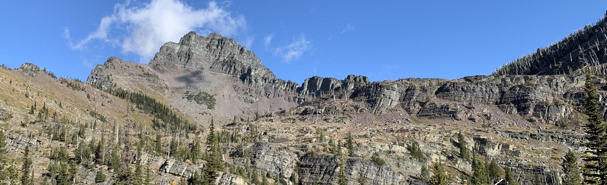 Lower Riddel Lake, Montana - 9 Reviews, Map | AllTrails