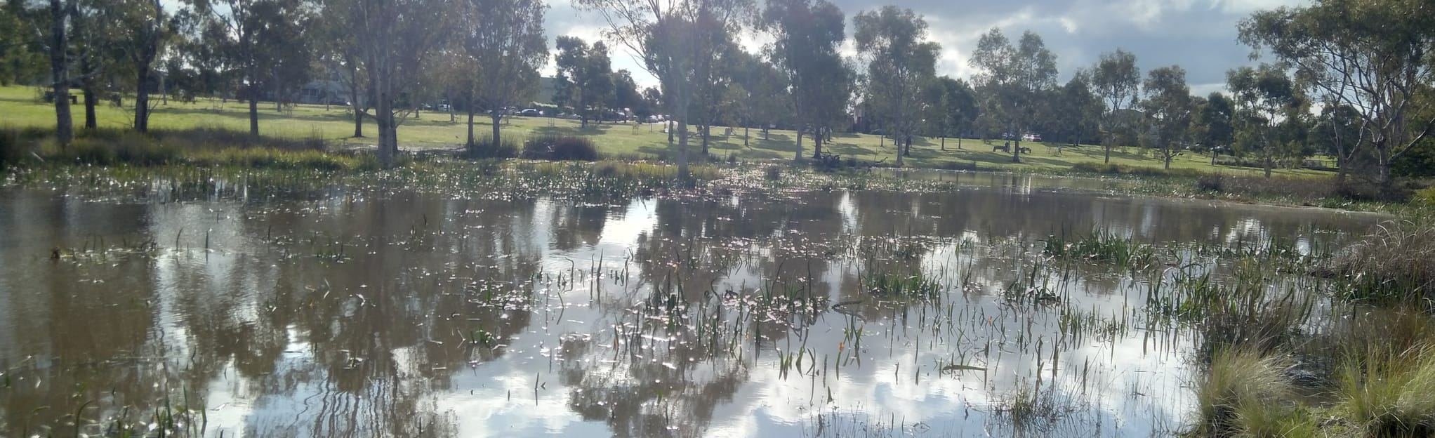 Aitken Creek Trail - Victoria, Australia | AllTrails