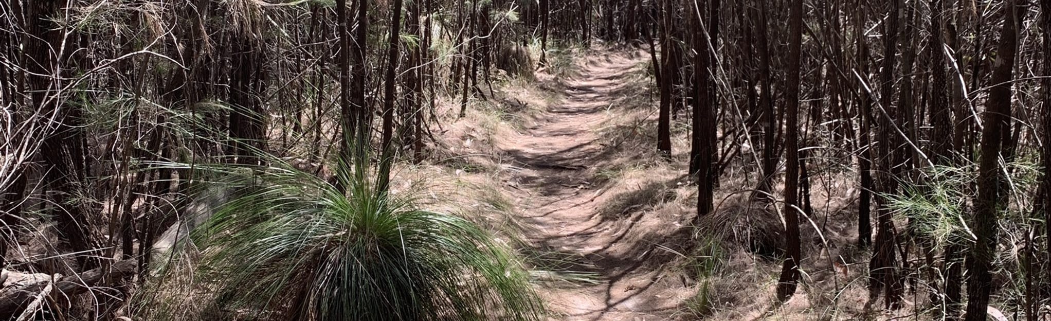 AllTrails | Crinkle Bush, Sharks Tail and Stone Hut Trails: 15 Reviews ...