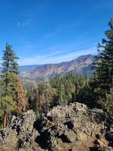 Best Hikes and Trails in Cedar Grove Botanical Area | AllTrails