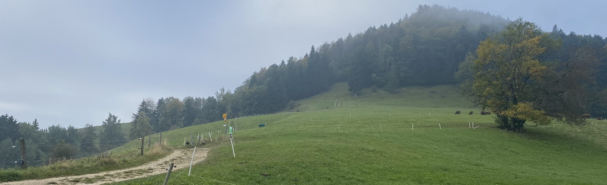 Balsthal - Tiefmatt - Oberbuchsiten - Murgenthal, Solothurn ...