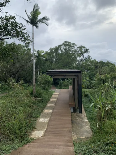 2023 Best Trails, Walks, and Paths in Fanling | AllTrails