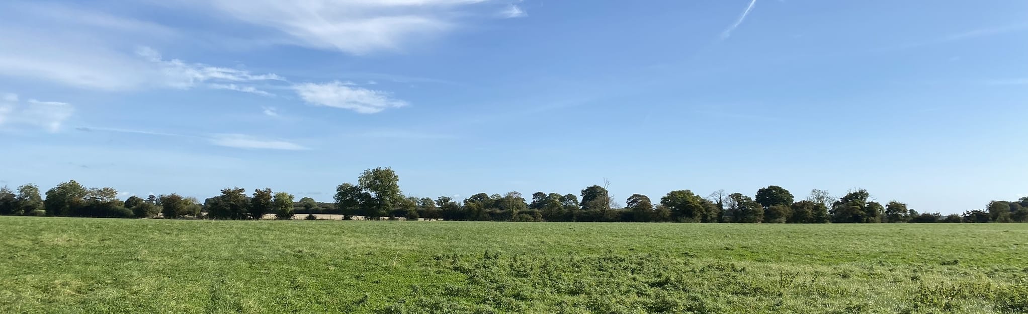 Tadcaster, Healaugh, Catterton - North Yorkshire, England | AllTrails