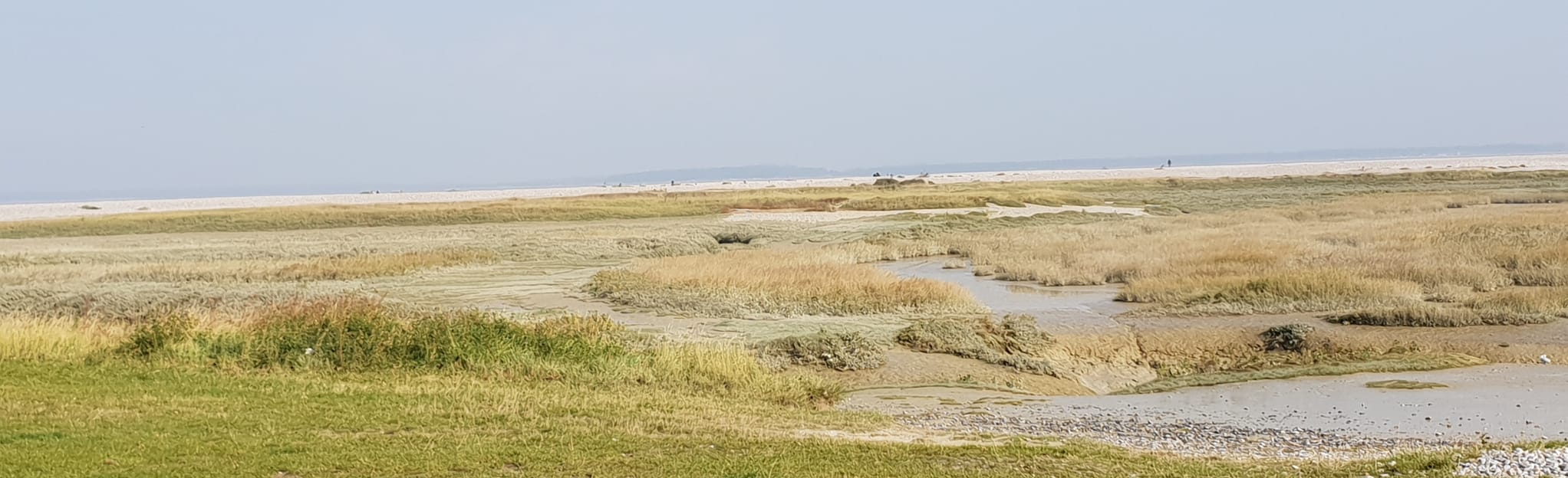 Pointe du Hourdel Loop, Somme, France - 83 Reviews, Map | AllTrails