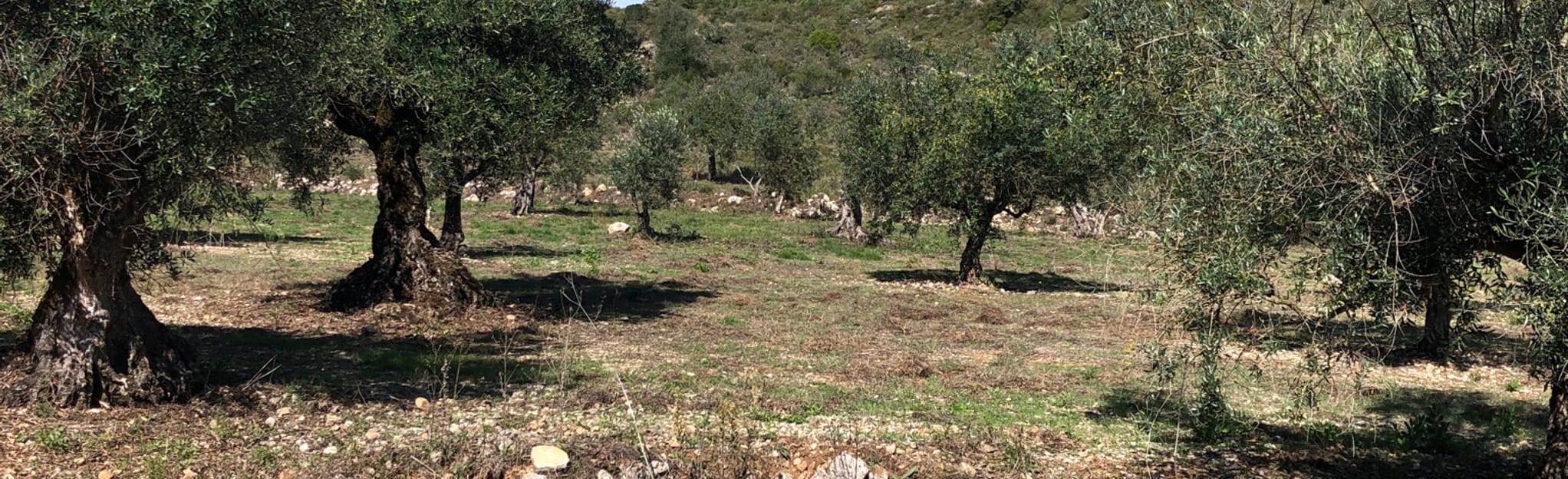Cascata da Fórnea - Cova da Velha: 51 foto's - Leiria, Portugal ...
