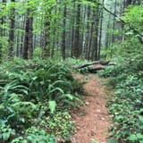 Amanda's Trail, Oregon - 156 Reviews, Map | AllTrails