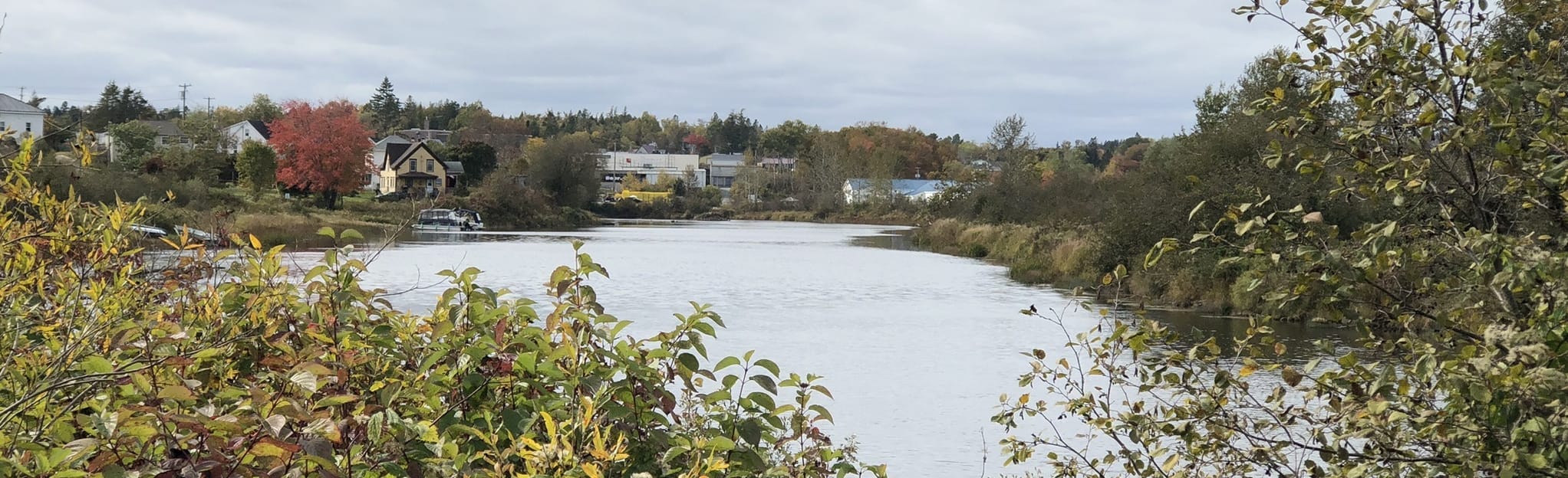 St George River Trail: 6 Reviews, Map - New Brunswick, Canada | AllTrails