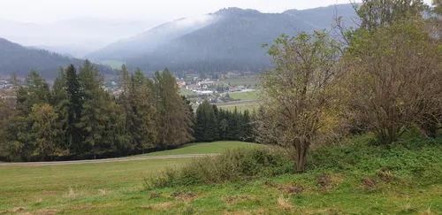 2023 Best Forest Trails in Traboch | AllTrails