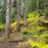 Box Canyon Trail, Washington - 254 Reviews, Map | AllTrails