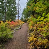 Box Canyon Trail, Washington - 254 Reviews, Map | AllTrails