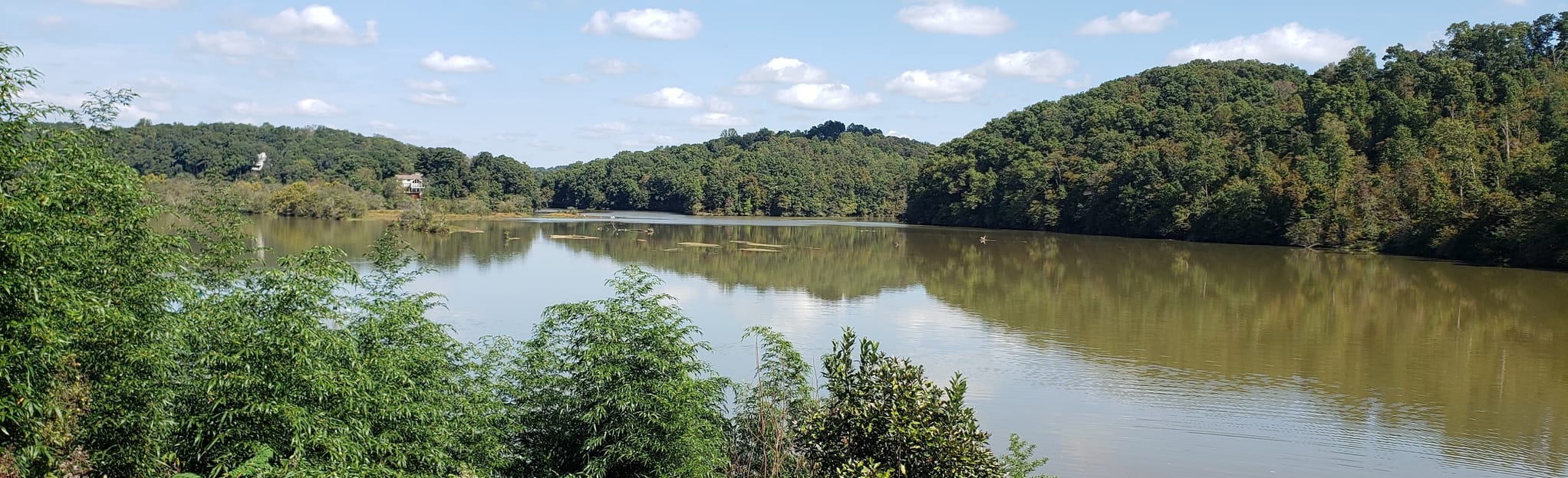 Bull Sluice Lake: 170 Reviews, Map - Georgia | AllTrails