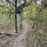 High Point Trail and Rock Top, Illinois - 174 Reviews, Map | AllTrails