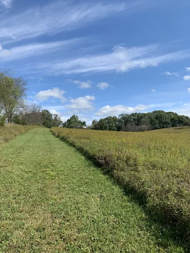 Best Hikes and Trails in Adams Township Park | AllTrails