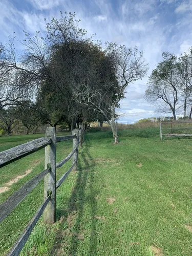 Best Hikes and Trails in Adams Township Park | AllTrails