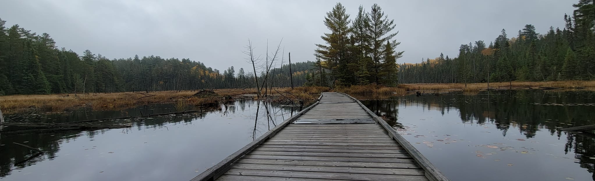 Poison Pond Trail: 6 Reviews, Map - Ontario, Canada | AllTrails