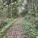 High Point Trail and Rock Top, Illinois - 174 Reviews, Map | AllTrails
