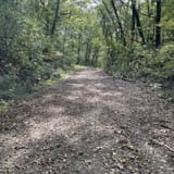 High Point Trail and Rock Top, Illinois - 174 Reviews, Map | AllTrails