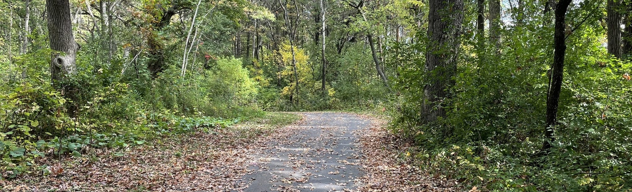 AllTrails | Theodore Wirth Loop: 332 Reviews, Map - Minnesota