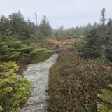Mahoosuc Notch Loop via North Pond Road to Appalachian Trail, Maine ...