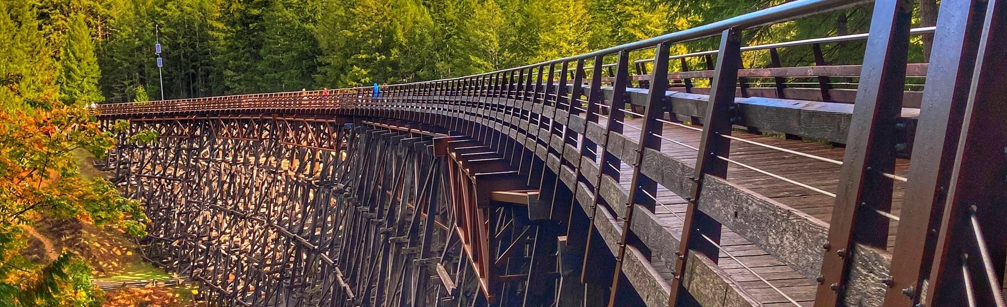 Cowichan Valley Trail: Kinsol Trestle, British Columbia, Canada - 718 ...