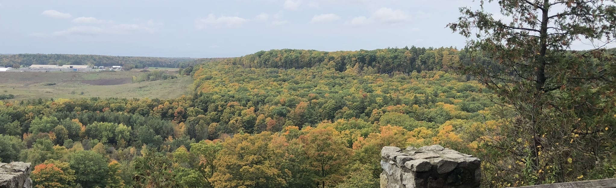 Rattlesnake and Crawford Lake Loop: 641 Reviews, Map - Ontario, Canada ...