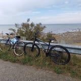 Port Elgin North Shore, Ontario, Canada - 43 Reviews, Map | AllTrails