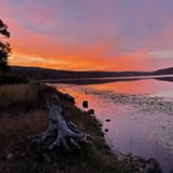 Crane Lake Trail, Missouri - 138 Reviews, Map | AllTrails