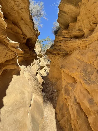 Best Hikes and Trails in Devil's Canyon Wilderness | AllTrails