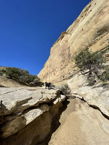 Best Hikes and Trails in Devil's Canyon Wilderness | AllTrails