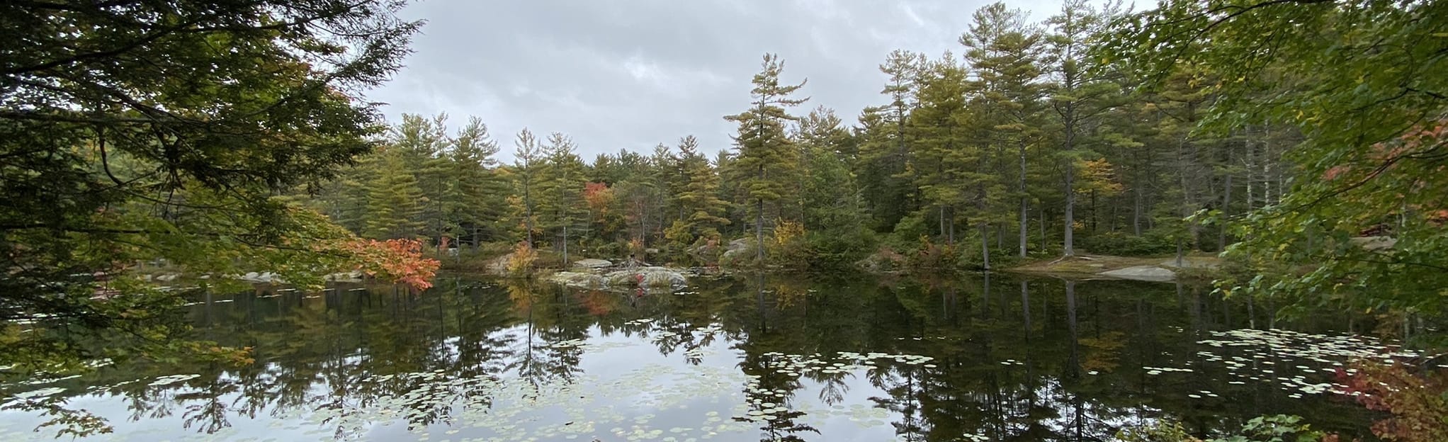 McLeod Pond and Pocumtuck Mountain via South Catamount Road Loop ...