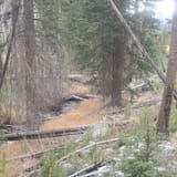 Sawtooth Lake, Montana - 193 Reviews, Map | AllTrails