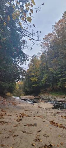 Best Hikes and Trails in Lowville | AllTrails Best Hikes and Trails in Lowville | AllTrails