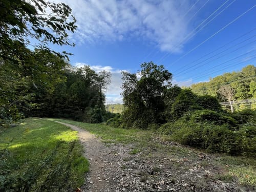 Best Hikes and Trails in Cabin John Regional Park | AllTrails