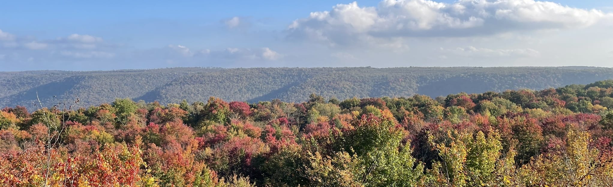 Old Loggers Path, Pennsylvania - 629 Reviews, Map | AllTrails