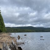 Timothy Lake Loop, Oregon - 270 Reviews, Map | AllTrails
