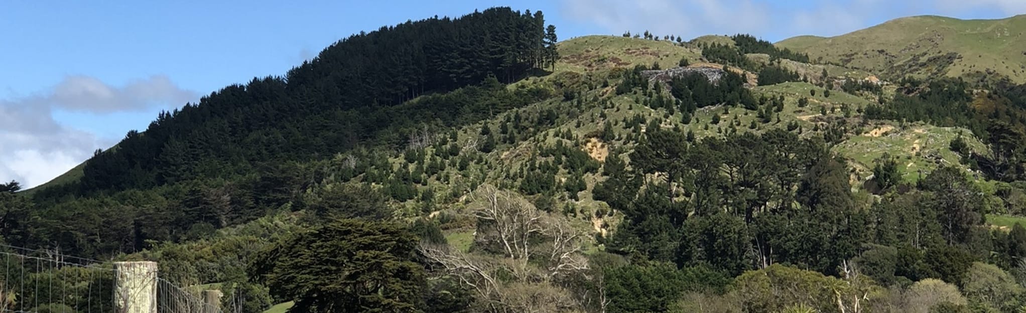 Battle Hill Station Wetlands Loop, Wellington, New Zealand - 5 Reviews ...